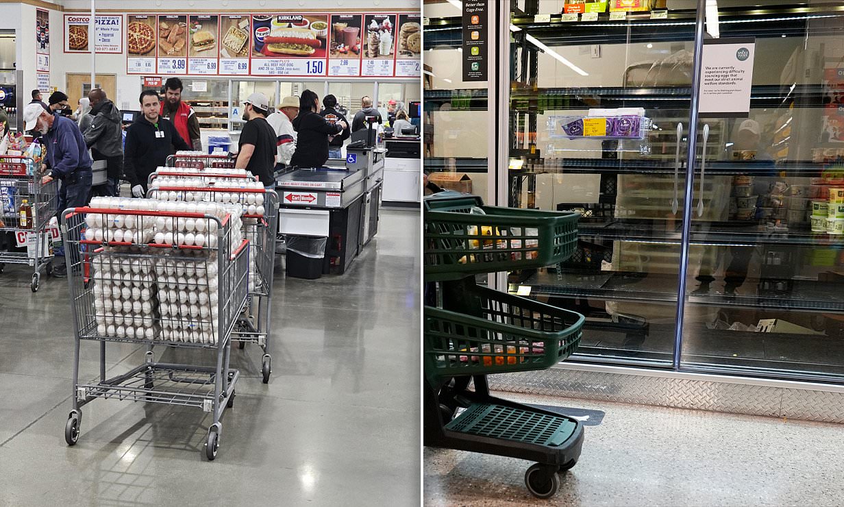 Costco, Walmart, Whole Foods and Trader Joe's cap number of eggs ...