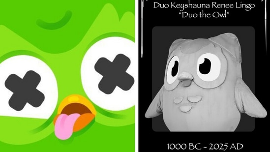 Duolingo's mascot Duo the Owl is dead, company says ‘he had many enemies’