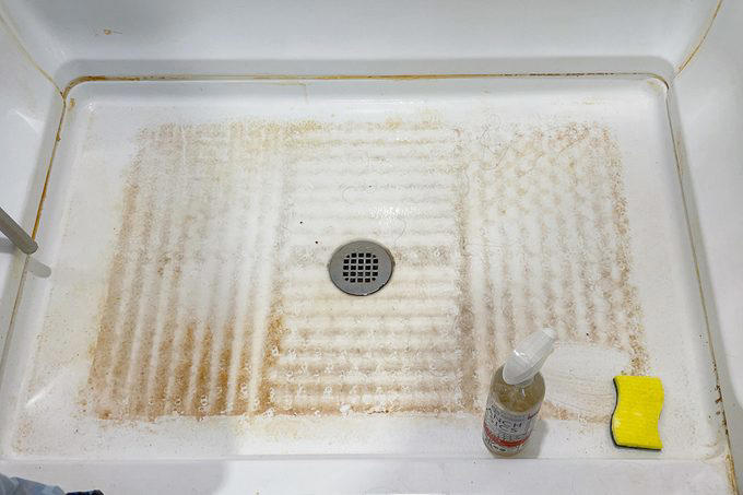 A Guide to Removing Surface Mold Safely and Quickly