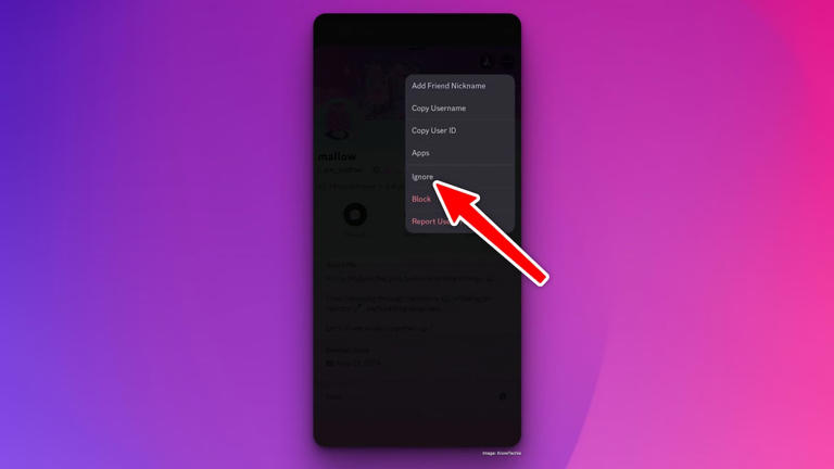 Discord adds a new ignore button – here's how to use it
