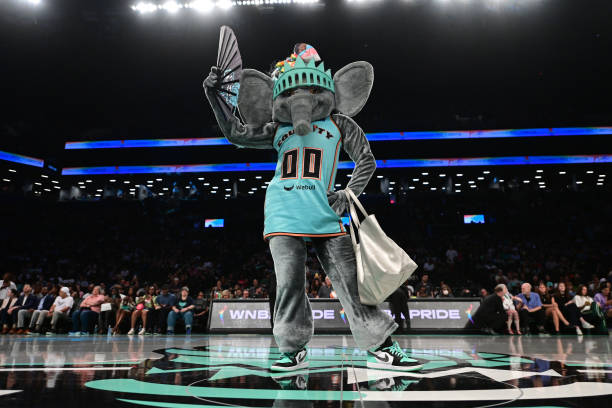 Meet the 12 Colorful Mascots of Every WNBA Franchise: Ft. Ellie The ...