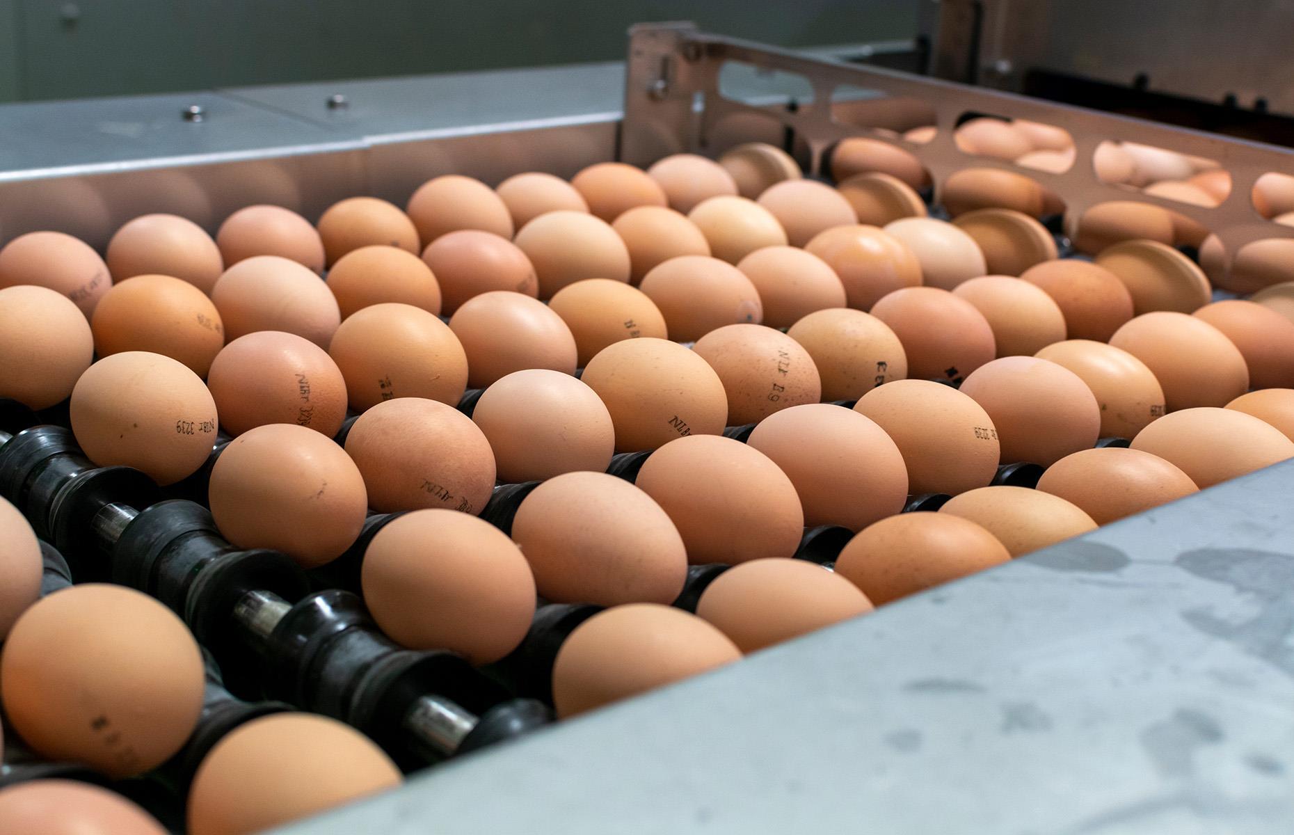 ¿Cuál es el producto que MÁS exporta Colombia? Descubre las principales ...