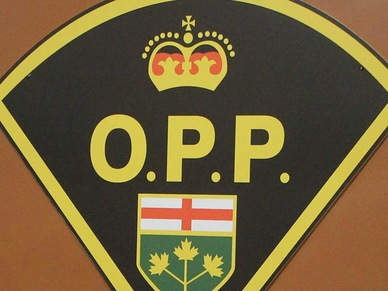 OPP charge Lakeshore resident following call for intimate partner violence