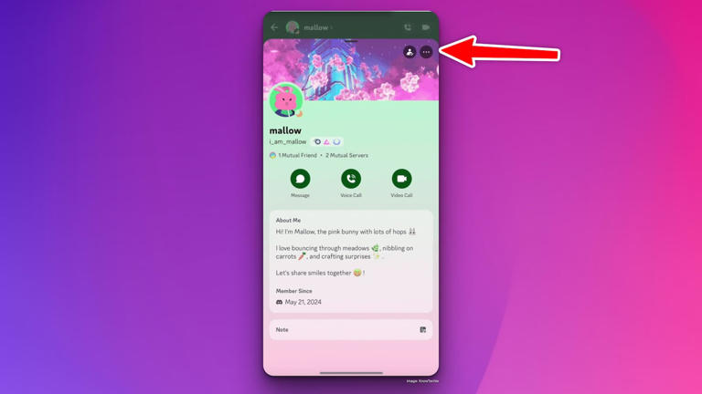 Discord adds a new ignore button – here's how to use it