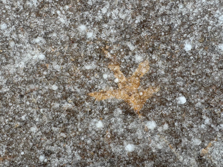 Sleet, freezing rain, thundersleet? Here's how experts define Oklahoma ...