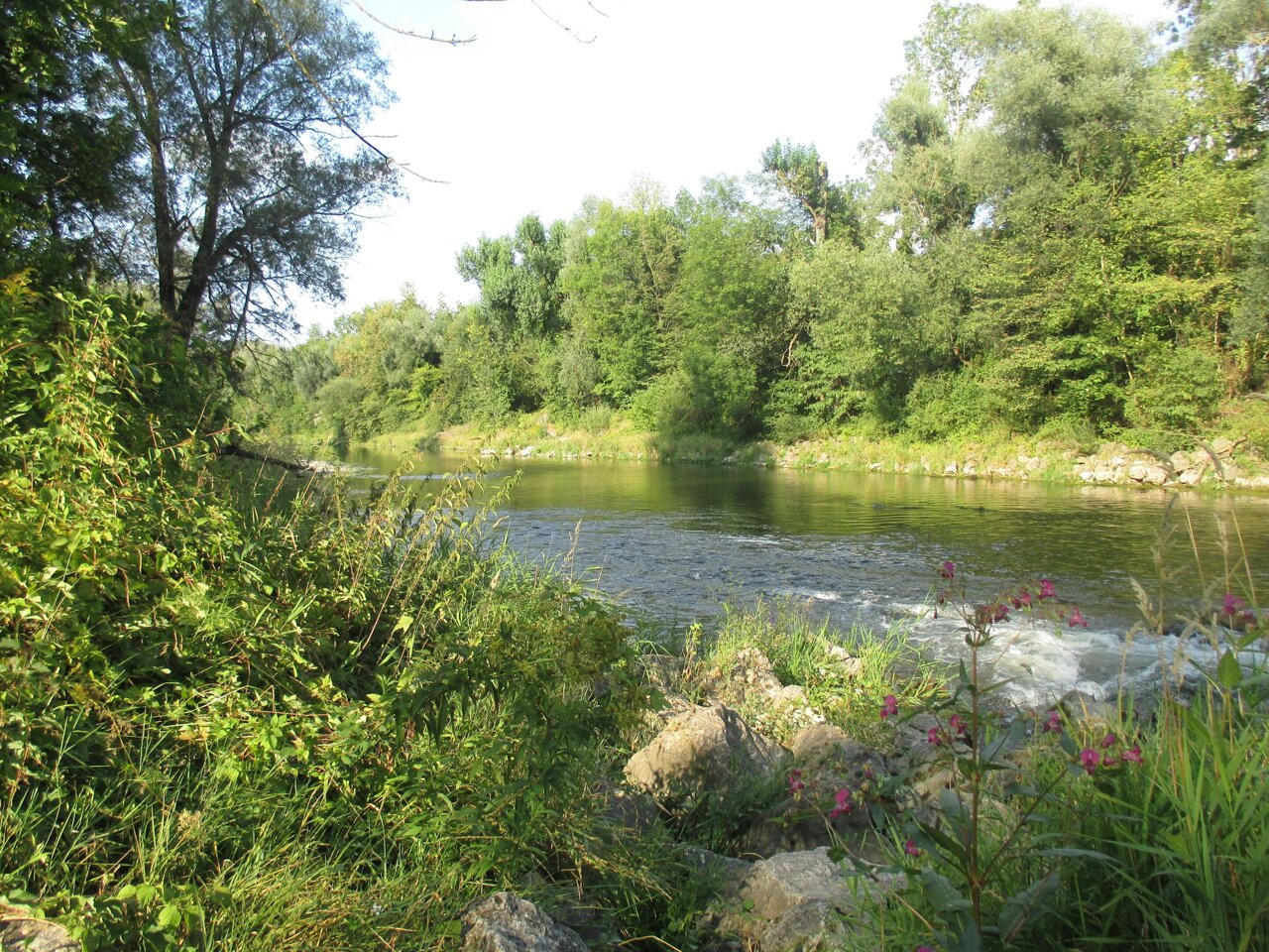 The hidden impacts of drinking-water treatment on urban streams