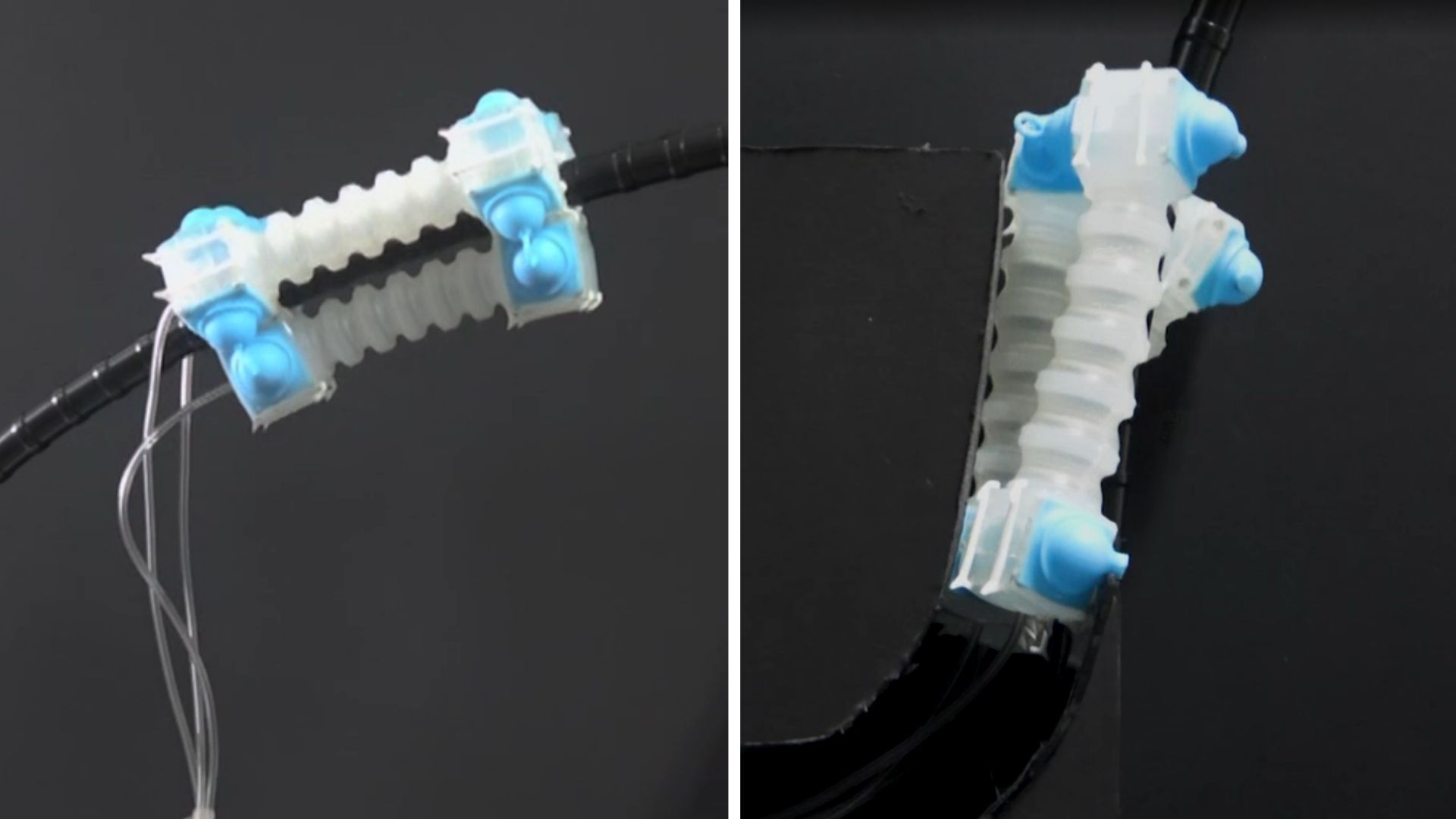 Soft robot crawls, climbs, and morphs with single air input for ...