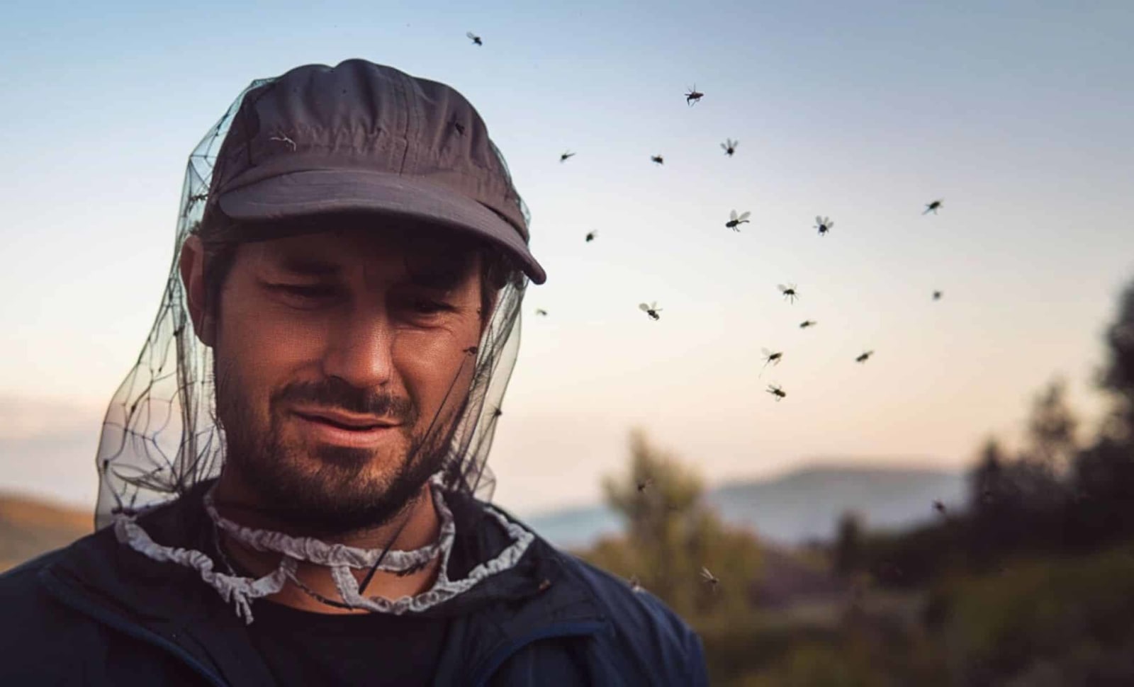 Why Flies Are Obsessed with Humans – Here’s What They’re Really After