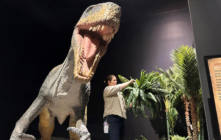 ‘The Age of Dinosaurs’ exhibit returns to Virginia Museum of Natural ...