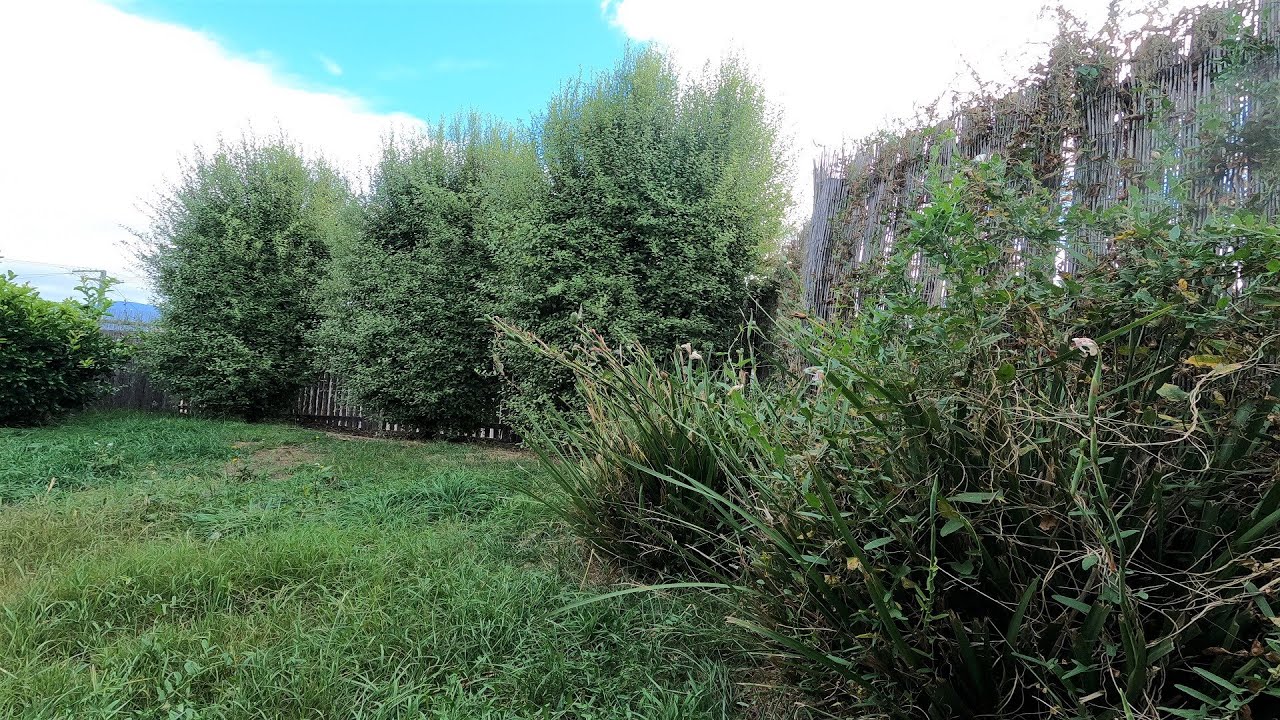 Neglected Garden Receives Yearly Restoration | Beautiful Transformation