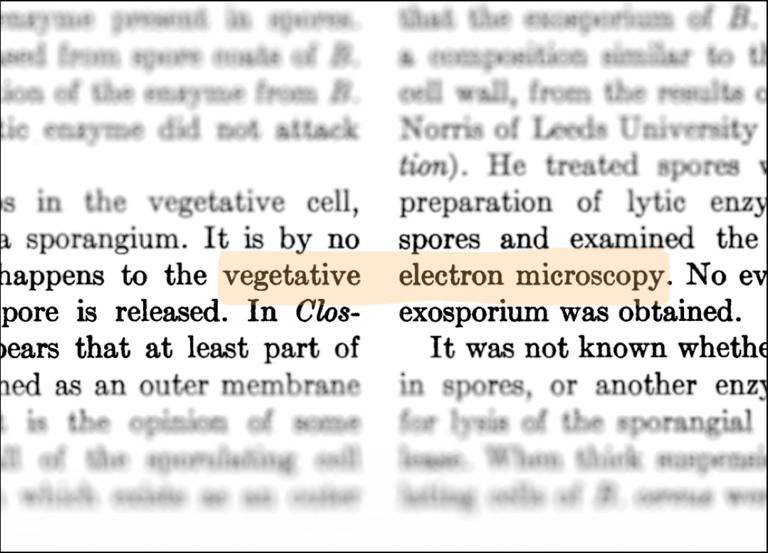 Fancy science journal caught publishing nonsense term "vegetative ...