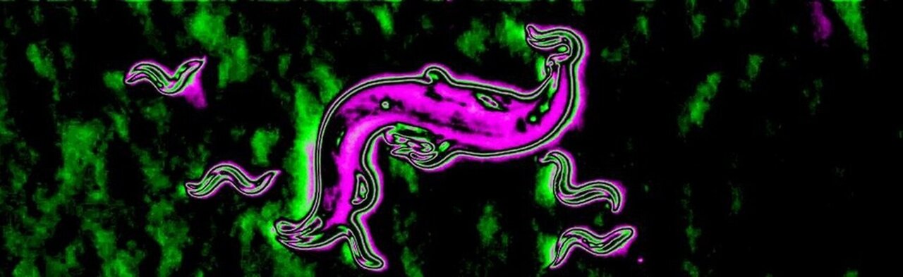 Worm surface chemistry reveals secrets to their development and survival