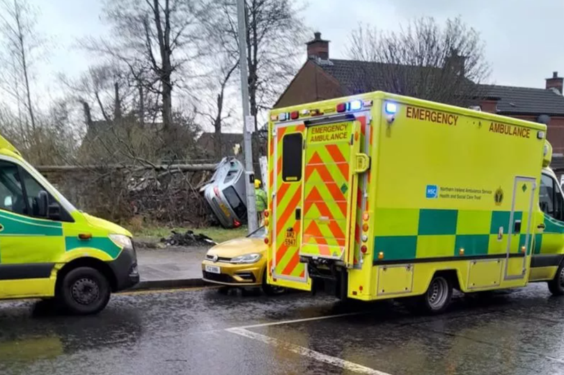 Driver in hospital after car swerves off road and into tree in horror crash
