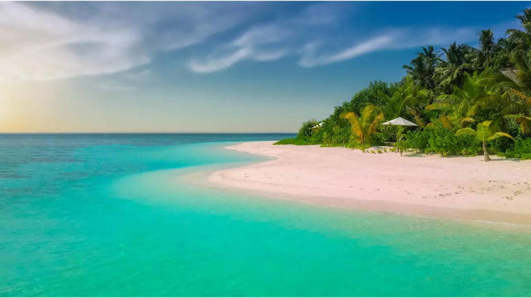 A first-timer's guide to Lakshadweep; permits, famous attractions and more A first-timer's guide to Lakshadweep; permits, famous attractions and more