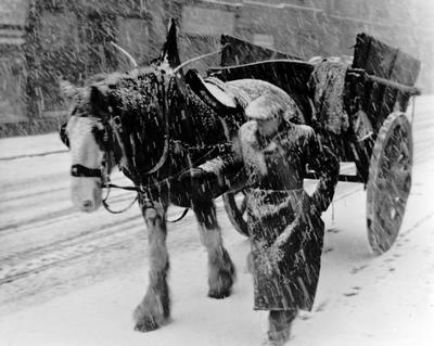 Six facts you never knew about Partick