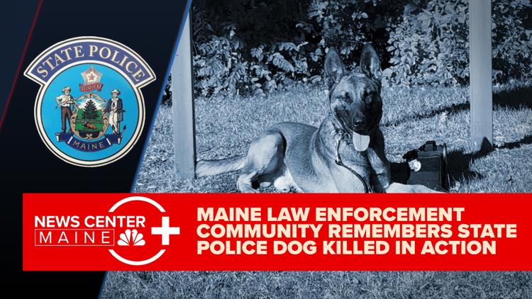 Watch: Maine law enforcement community remembers state police dog ...