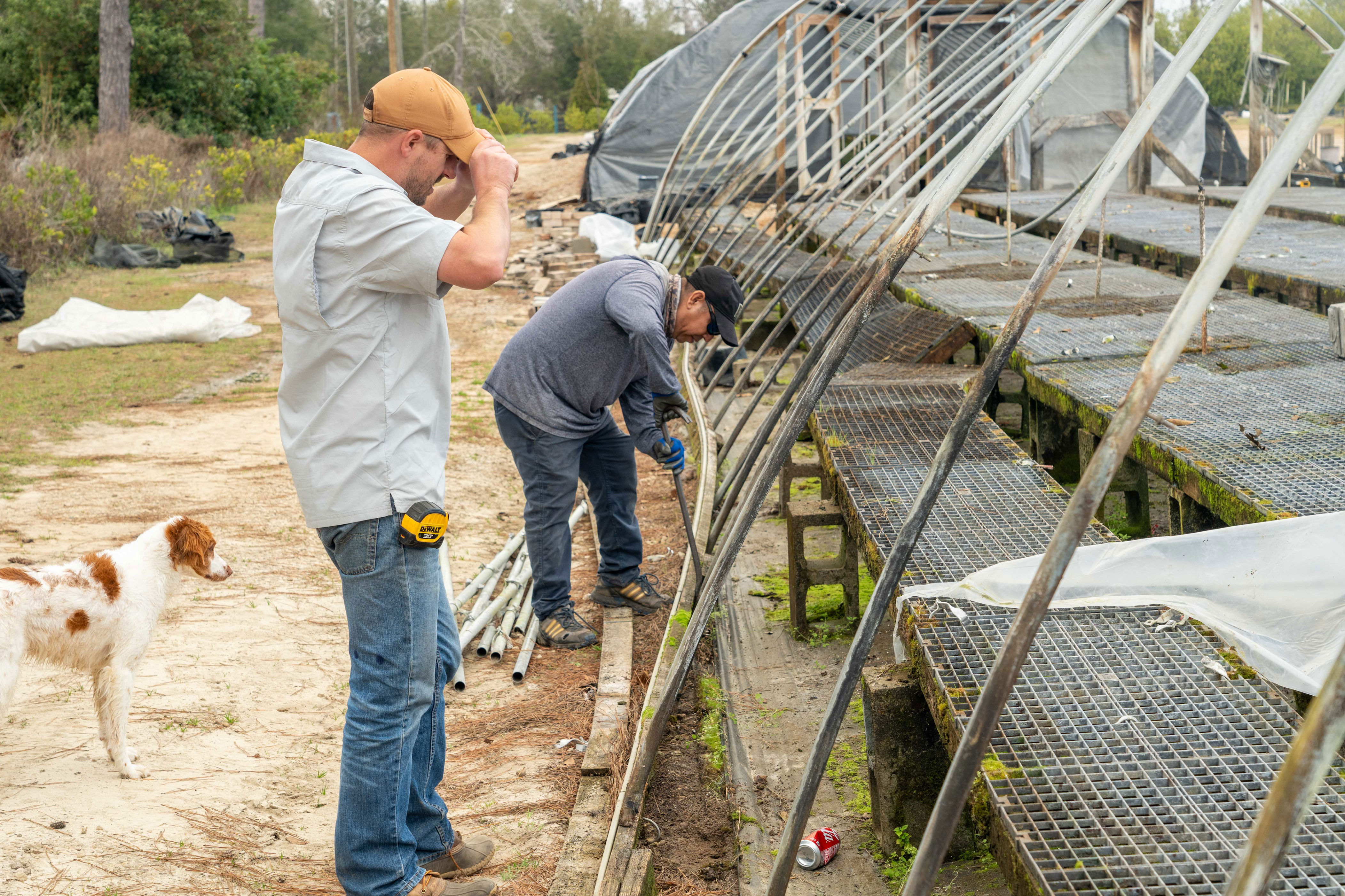 Florida launches loan program for farmers, growers hit by winter storm