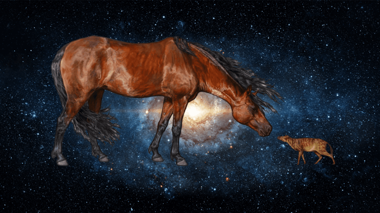 The Earliest Known Horse Weighed 3.9 Kilograms. Then, It Went To Space