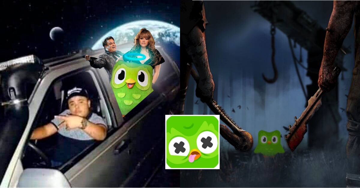 Estos son los mejores memes tras la ‘muerte’ del búho verde de Duolingo