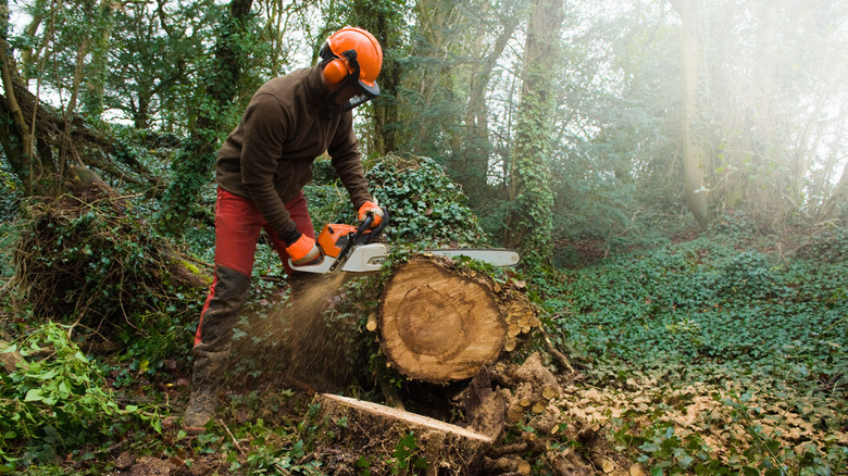 Every Major Chainsaw Brand Ranked Worst To Best