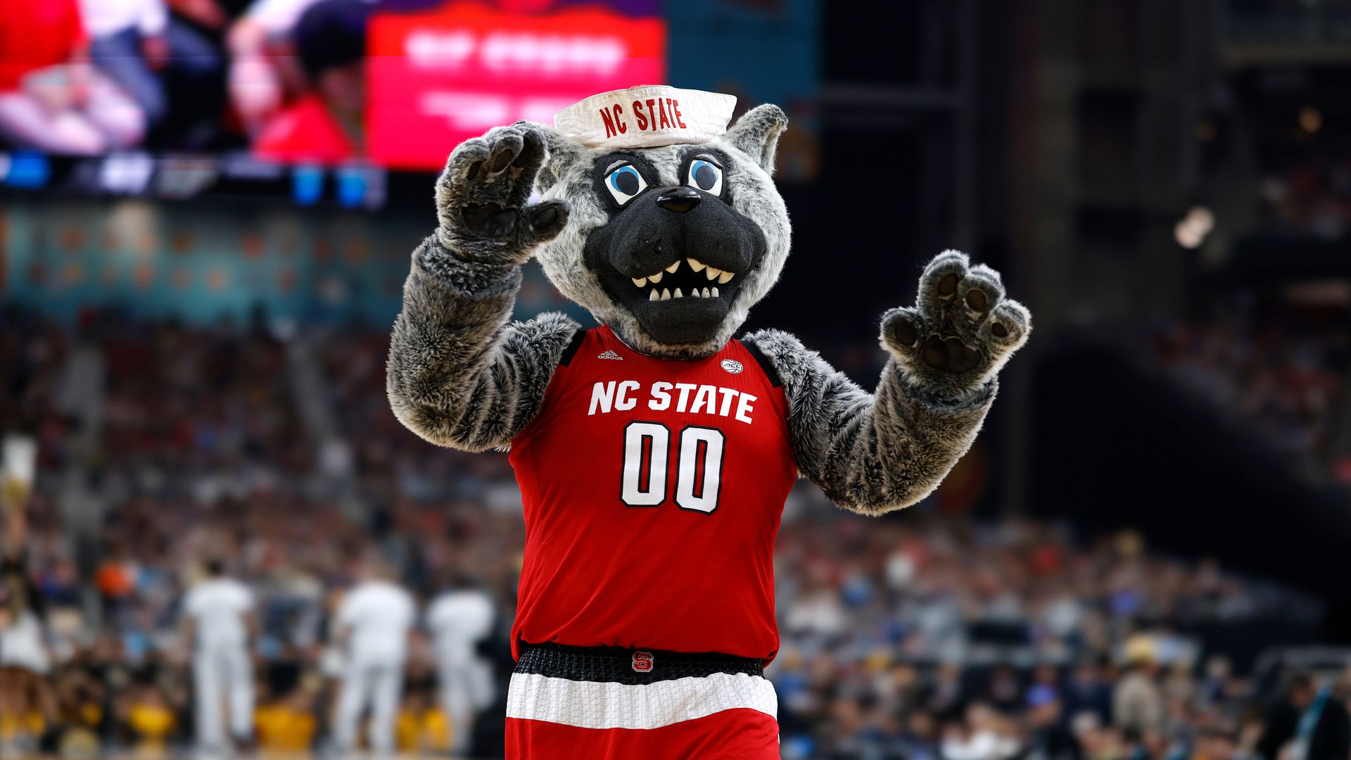 Louisville at NC State preview