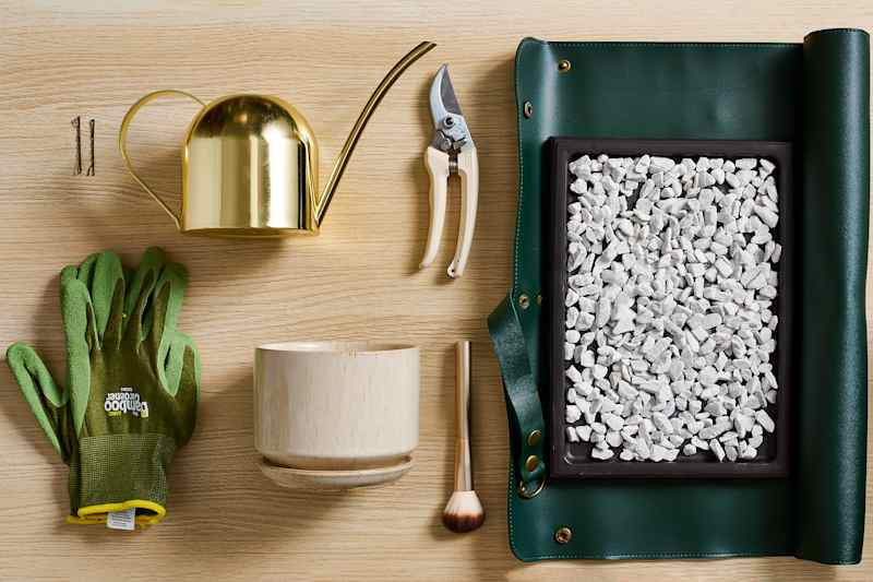 The 5 Tools Every New Plant Owner Needs (Plus 3 to Level Up Your Skills)