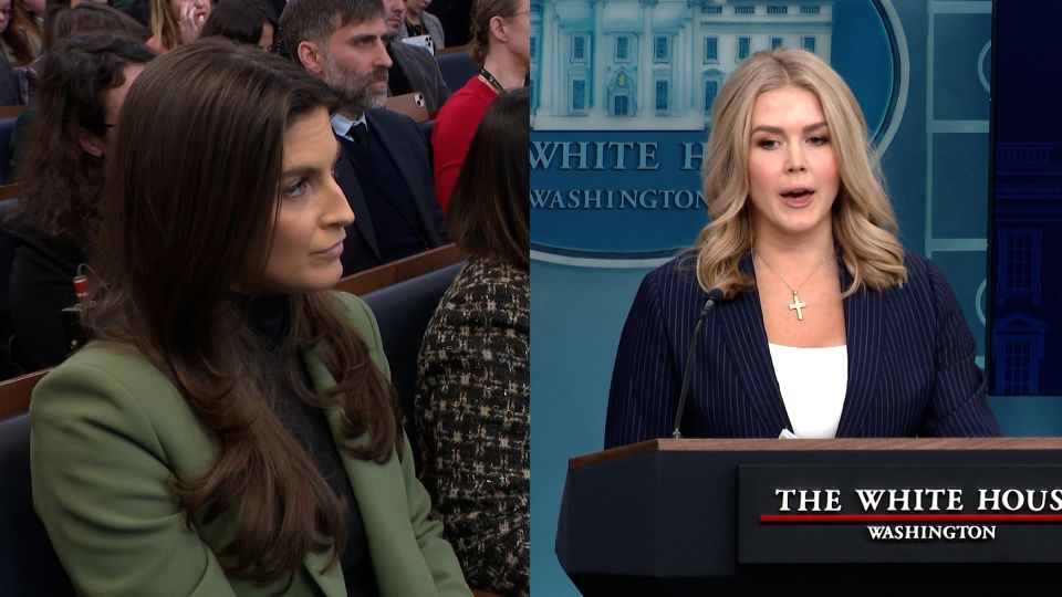 Collins presses Leavitt on WH barring AP reporter over ‘Gulf of America ...