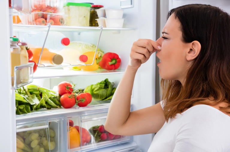 Evita y elimina el mal olor del refrigerador con estos sencillos trucos