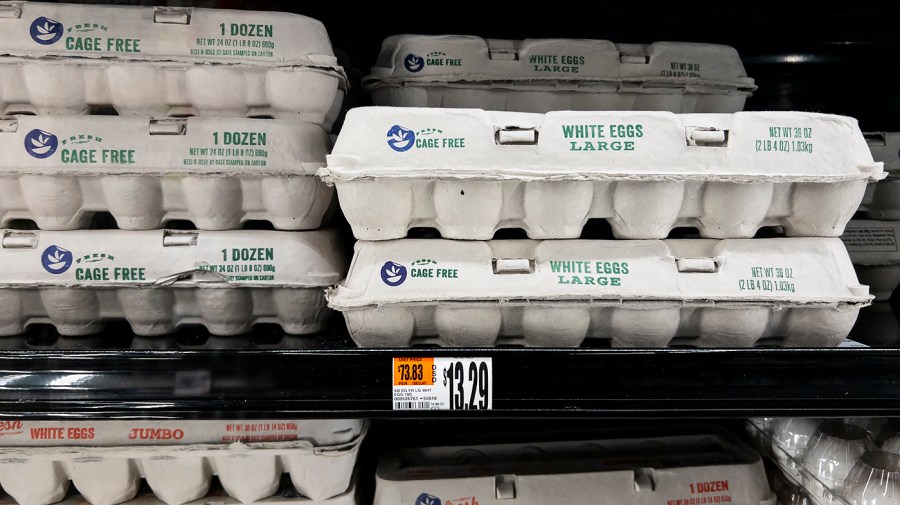 Egg prices hit record $4.95 per dozen in January