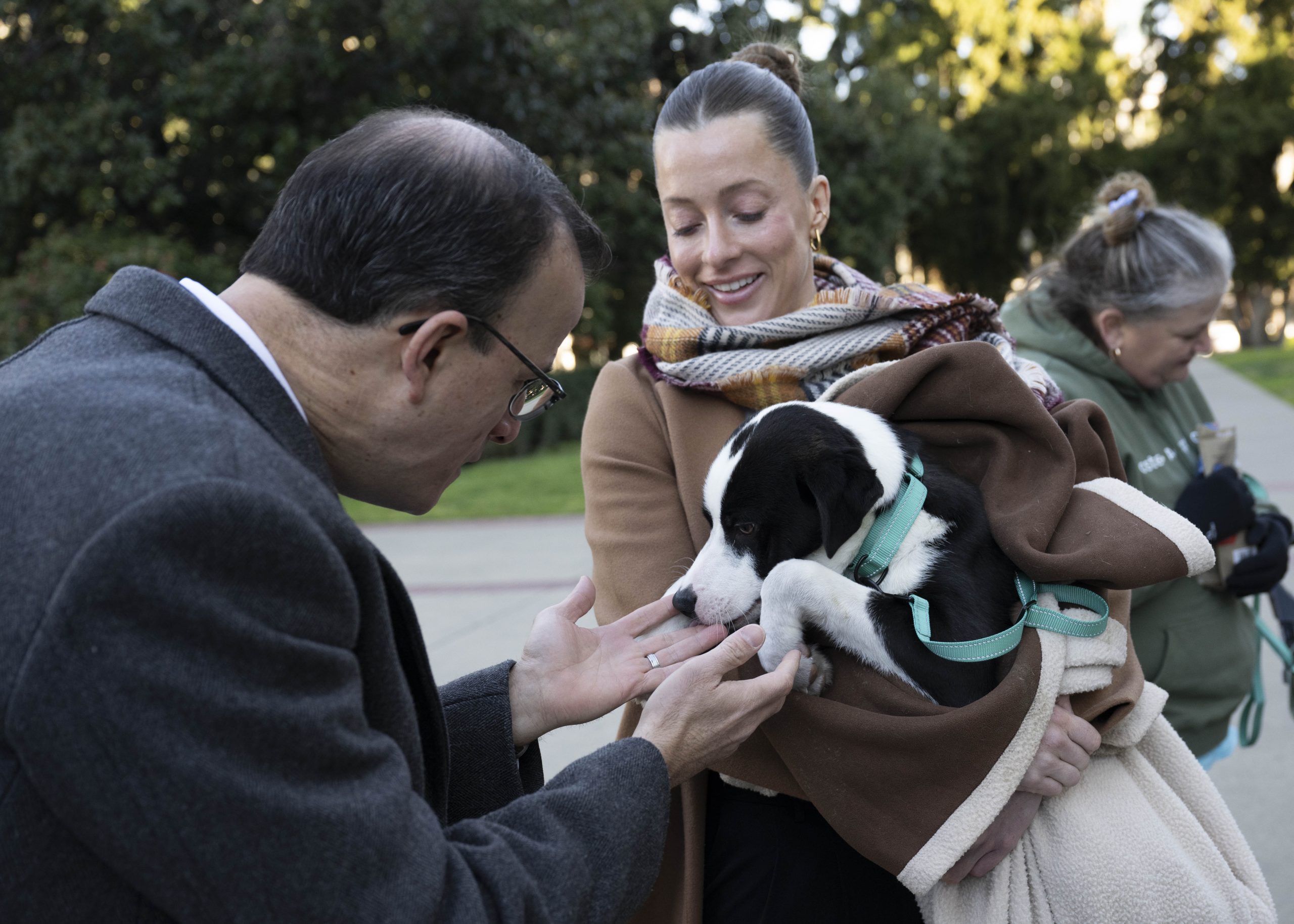 'Shut Down the Inhumane Practices': Bills Introduced to Stop Puppy Mill ...