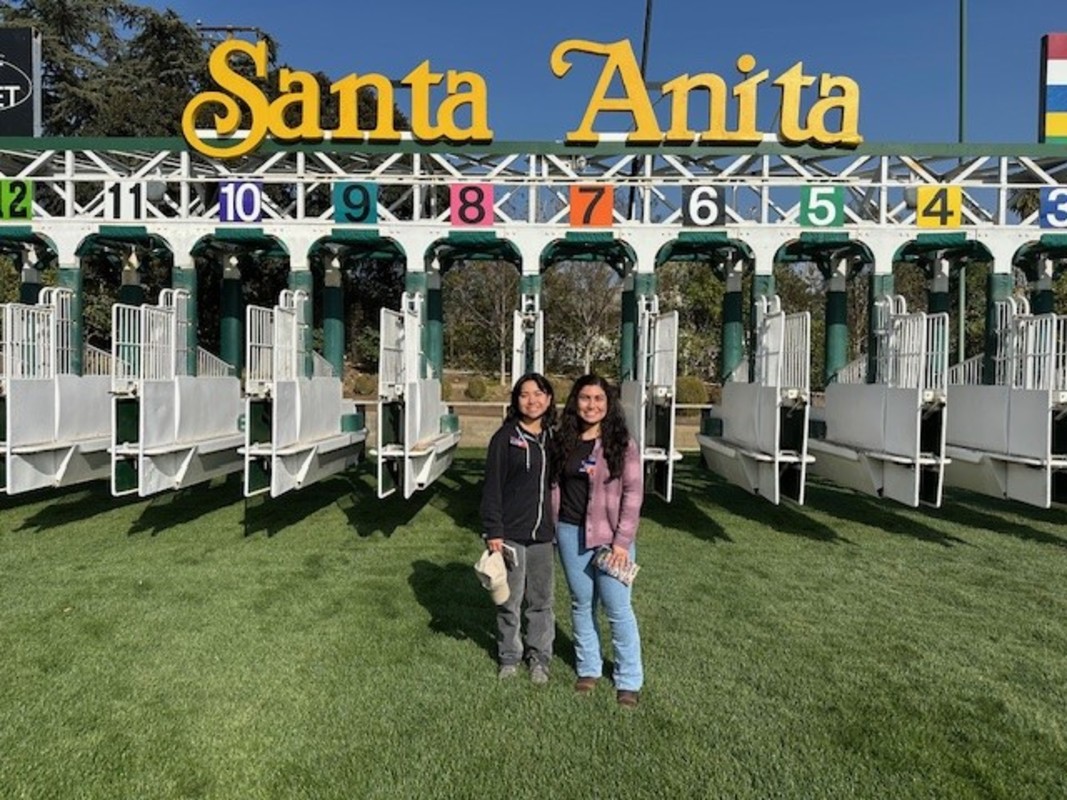 Santa Anita, Cal Poly Partner To Get Prospective Veterinary Students ...