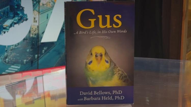 Meet Gus, a pet parakeet who drank and swore and charmed