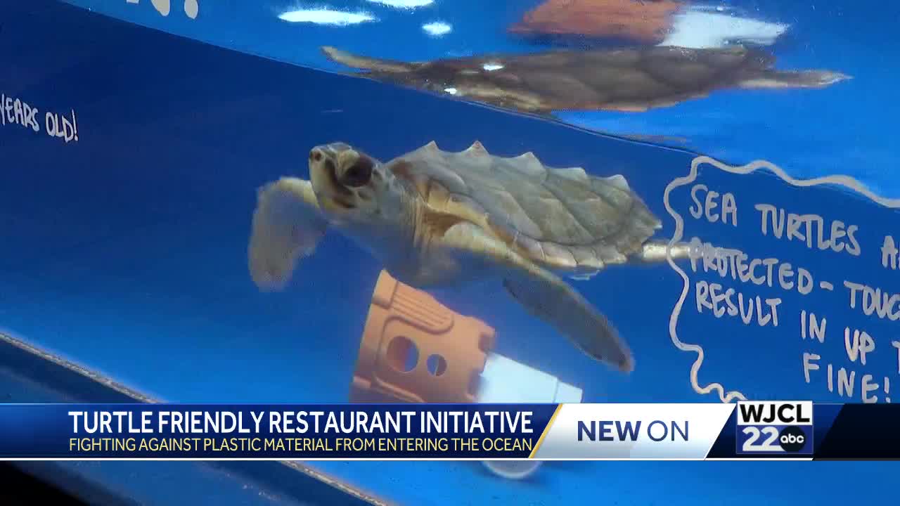 Tybee Beach Clean expands its program to fight stop plastic from ...