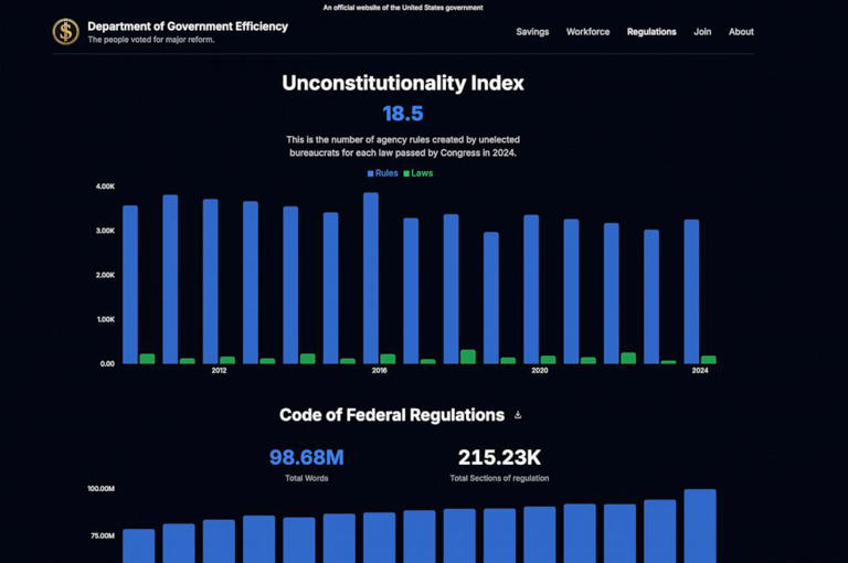 Official DOGE website updated, promising 'savings' updates by Valentine ...