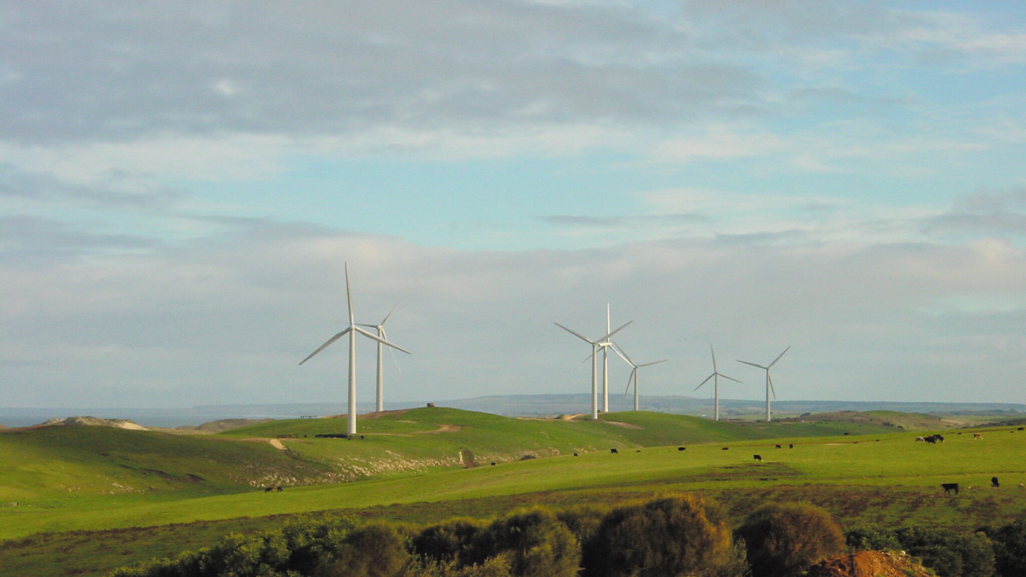 Pacific Blue reveals ageing Codrington Wind Farm decommissioning plans