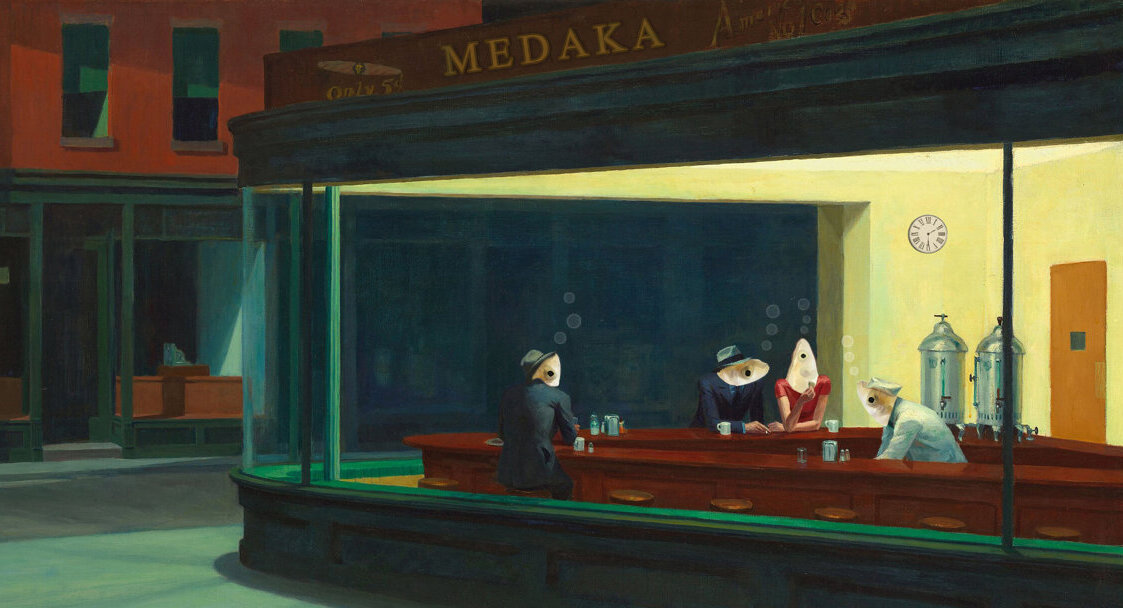 Wild medaka fish show surprising midnight courtship rituals in natural ...