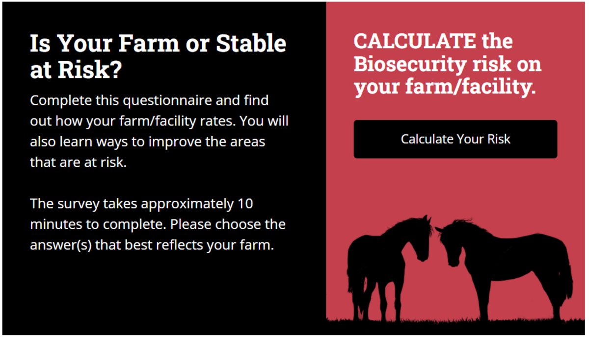 Biosecurity Risk Calculator: New Tool Available From Equine Guelph, EDCC