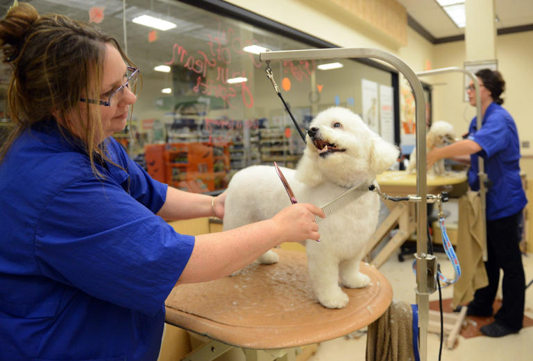 Best Petsmart coupons we've tested in April 2025