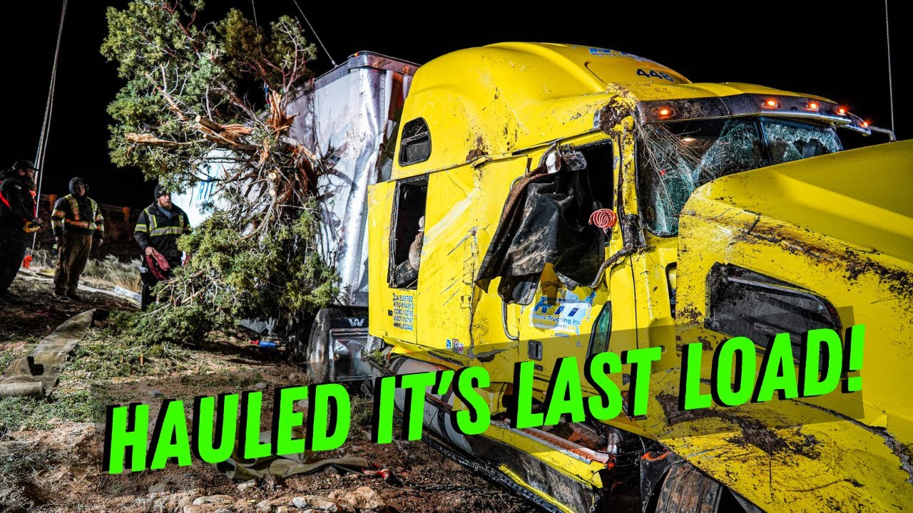 A Tree growing out of a trailer? Rotator WAR MACHINE & MARTIN RIGGS w ...