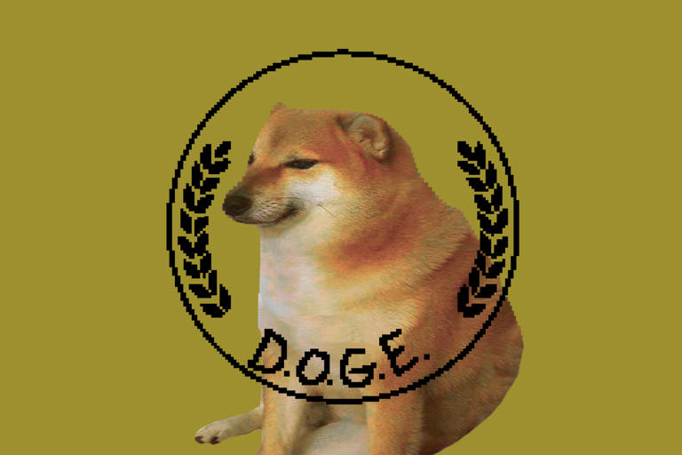 We finally know who’s legally running DOGE