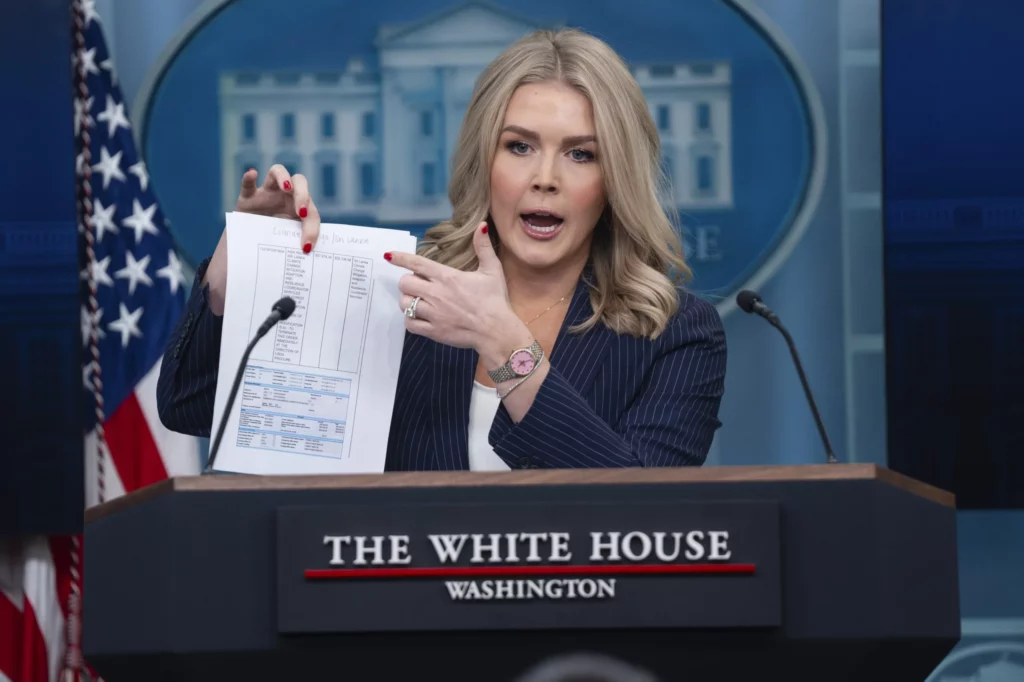 DOGE brought receipts: Leavitt’s list of waste found by Musk and team