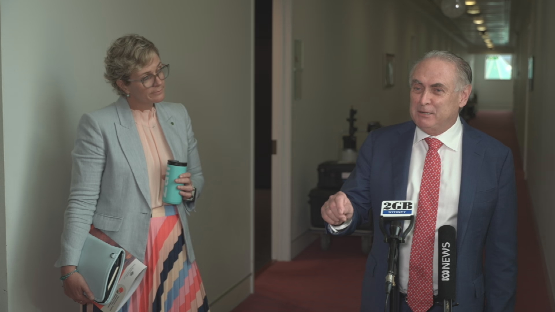 Teal MP clashes with Labor minister as electoral reforms pass Senate