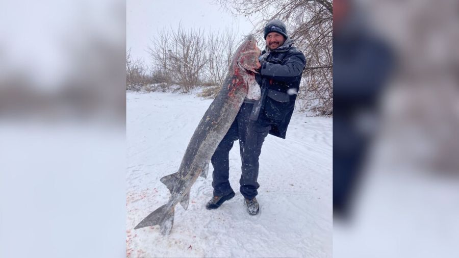 Two sturgeon 100+ pounds speared during another slow day in Wisconsin