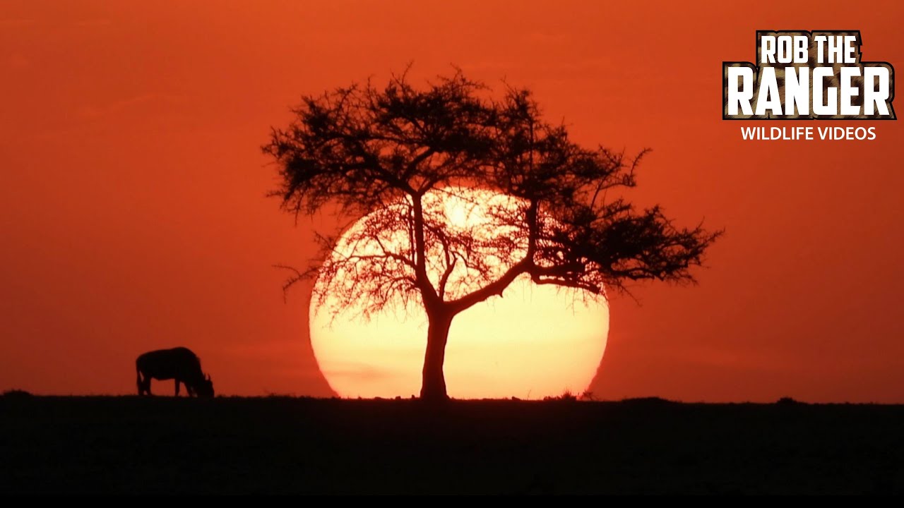 Witness this stunning sunset over the plains