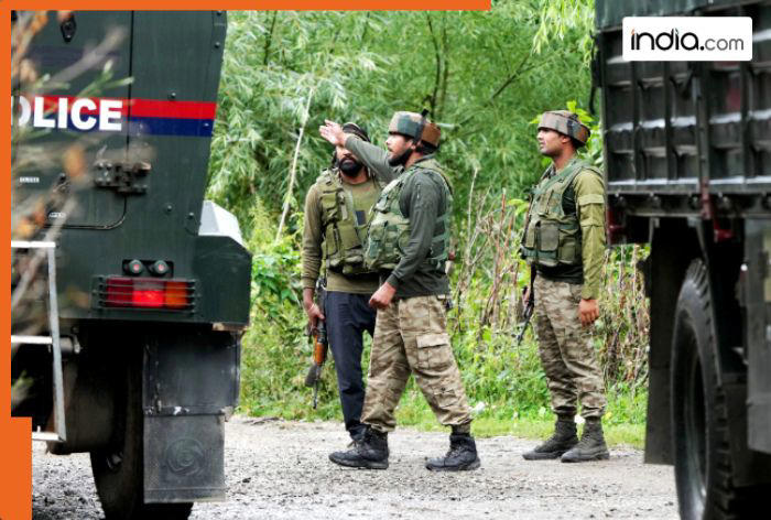 Pakistan violates ceasefire at LoC in..., Indian Army wreaked havoc on ...