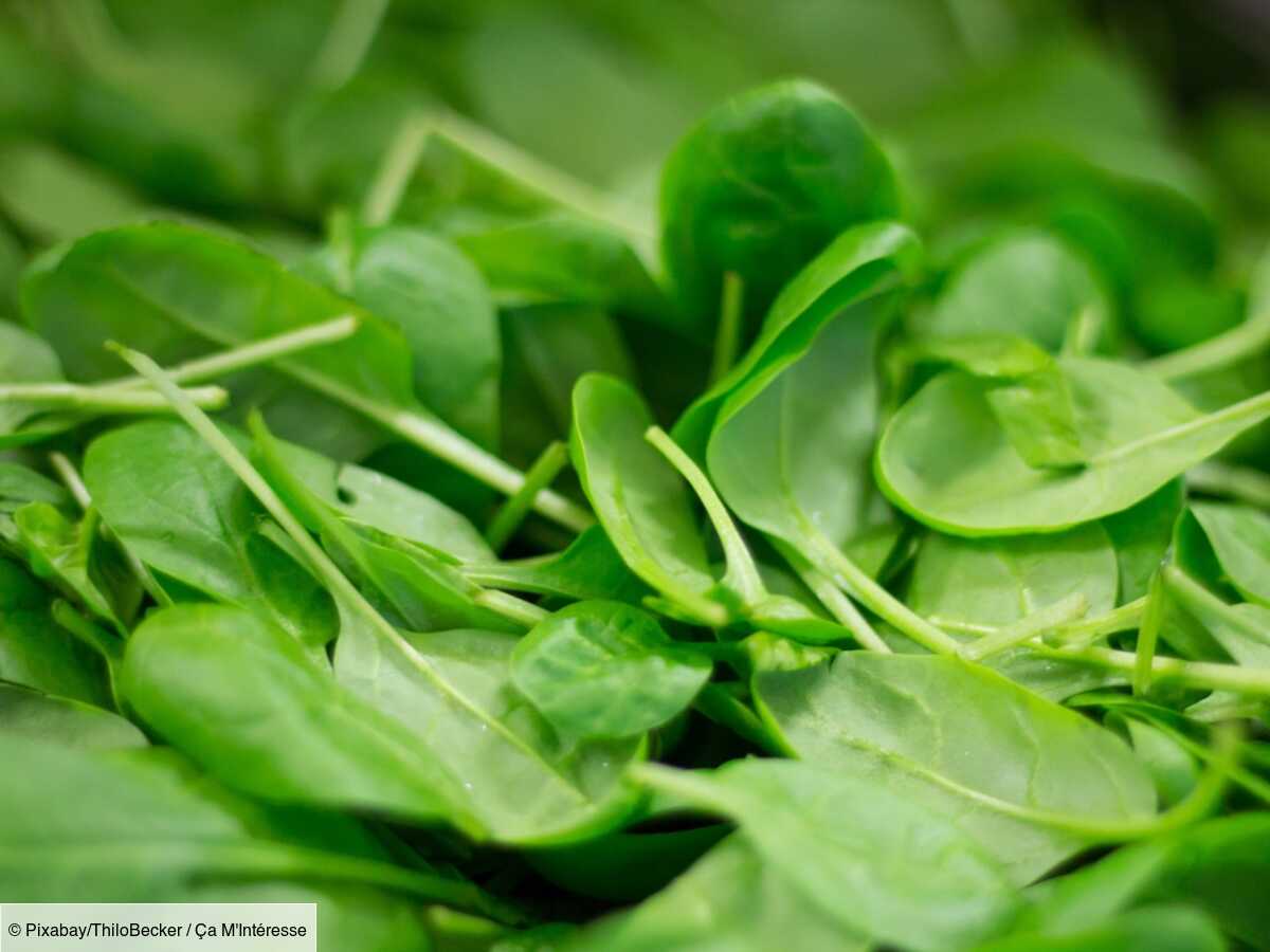 Les épinards rendent-ils vraiment plus fort