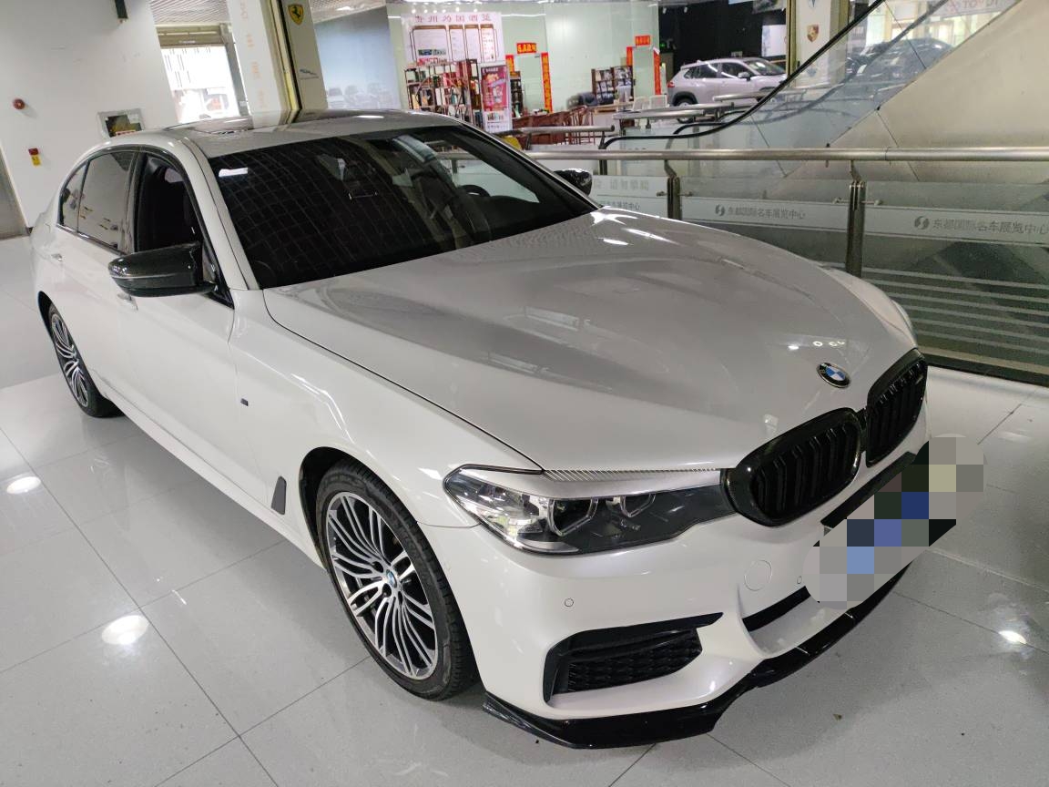 宝马 宝马5系 2019款 530Li 领先型 M运动套装实拍图