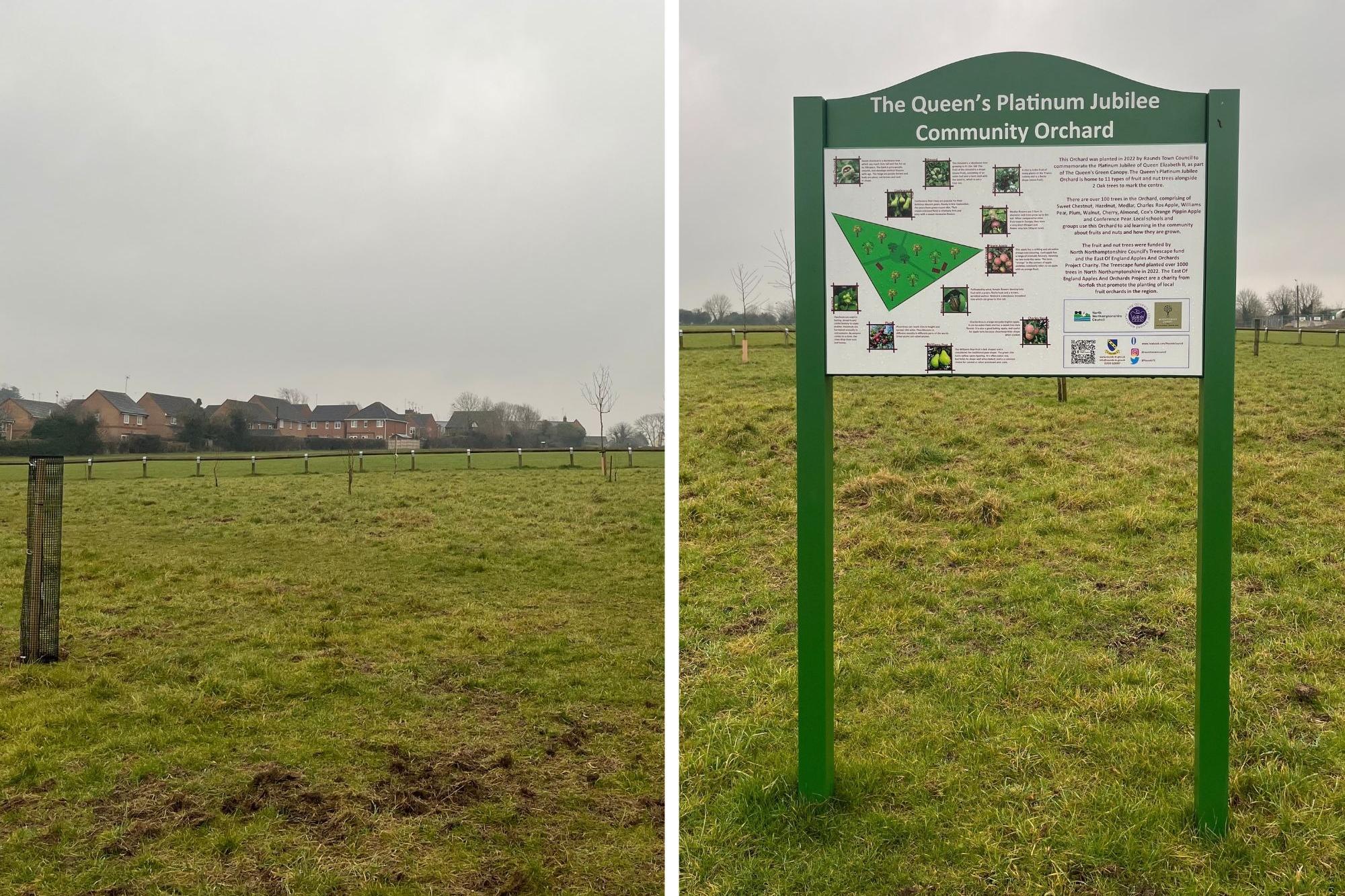New trees for Amos Lawrence Park as Raunds Town Council takes part in ...