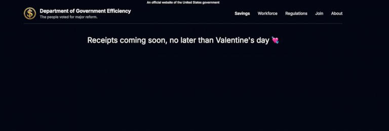 Official DOGE website updated, promising 'savings' updates by Valentine ...