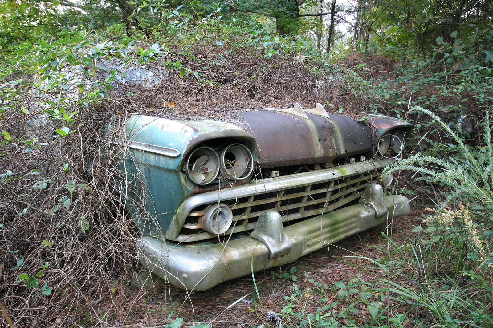 Las encantadoras joyas del depósito de chatarra de Old Car City, White ...